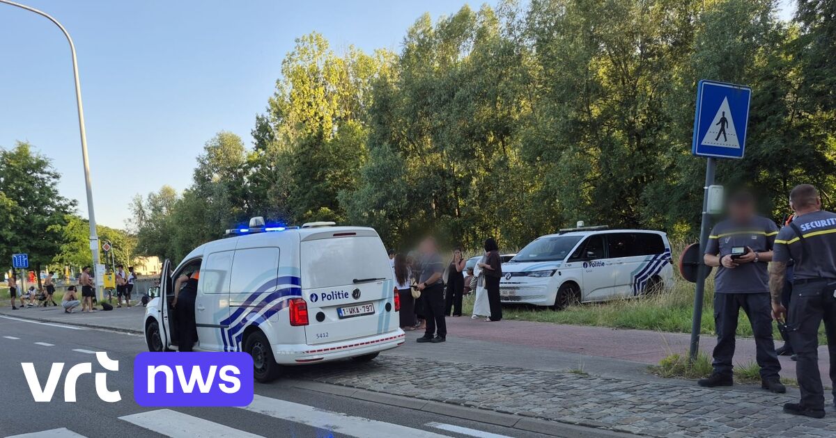 Man even bewusteloos na gevecht aan strand Hofstade: "We voelden het ...
