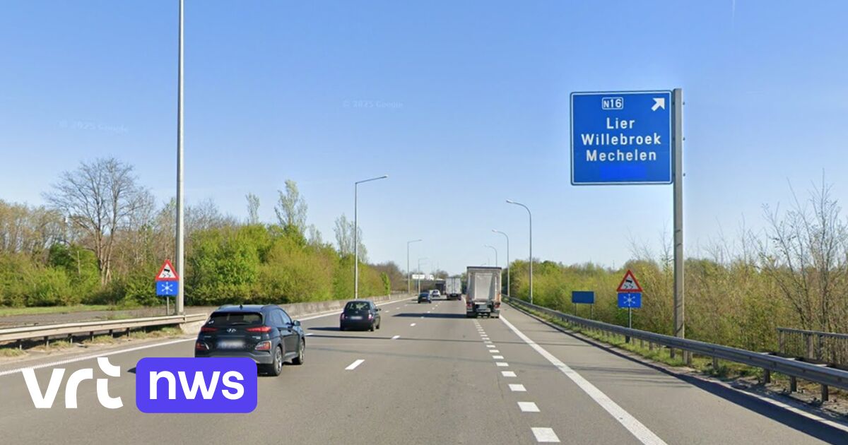 Vierde rijstrook op E19 in Mechelen moet verkeersdruk op omliggende ...