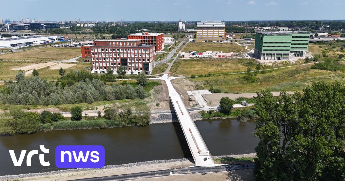 Nieuwe fietsbrug met diervriendelijke verlichting verbindt Eiland ...