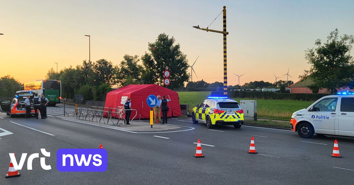 Stepper overleden bij ongeval met bus in Brecht | VRT NWS: nieuws