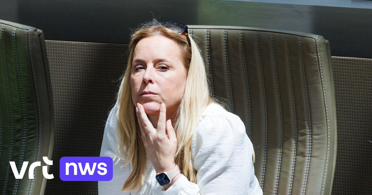 Open VLD krijgt pas volgend jaar een nieuwe naam en een nieuw logo ...