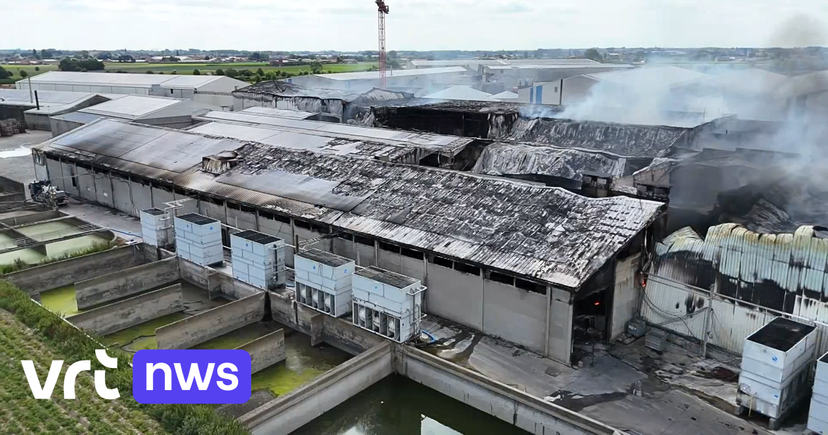 Opruimwerken na grote brand in Westrozebeke starten morgen ...