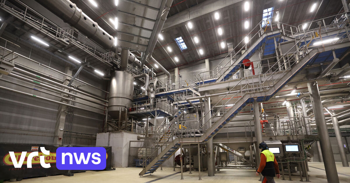 Frietreus Clarebout Potatoes uit West-Vlaanderen komt in Amerikaanse ...