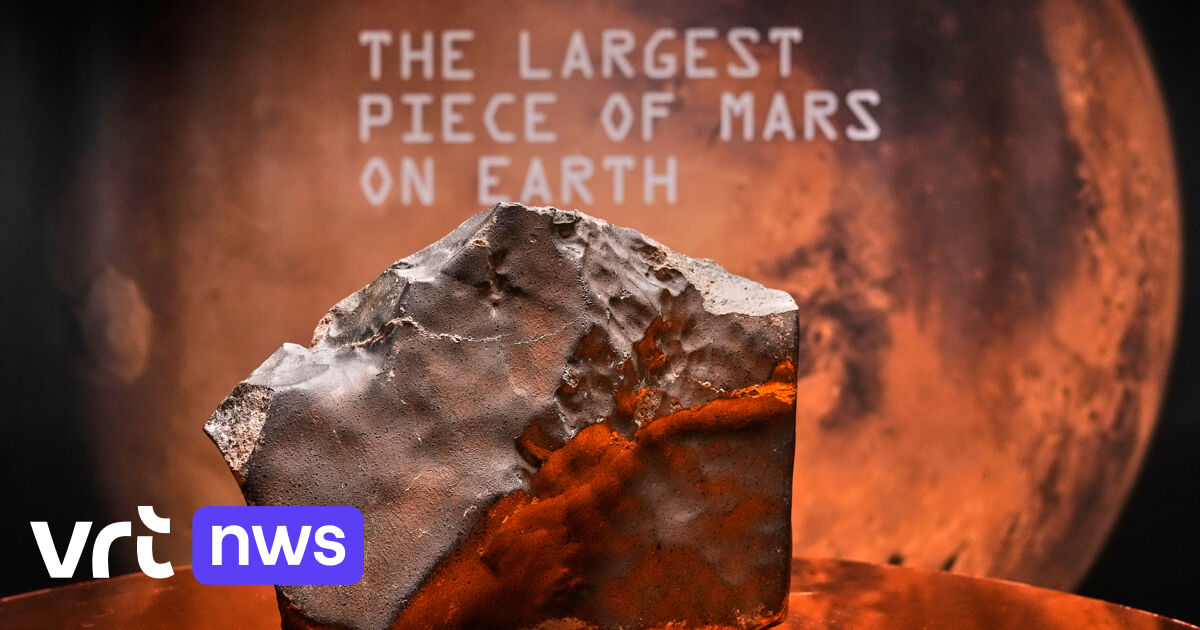Veiling van grootste Mars-steen die ooit op aarde gevonden werd ...