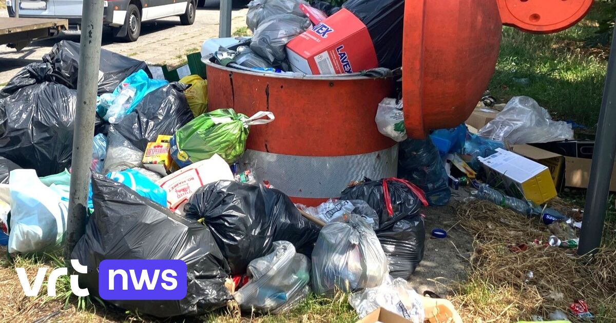 Zwerfvuilprobleem op snelwegparking Waasmunster blijft groot: "Omzet ...