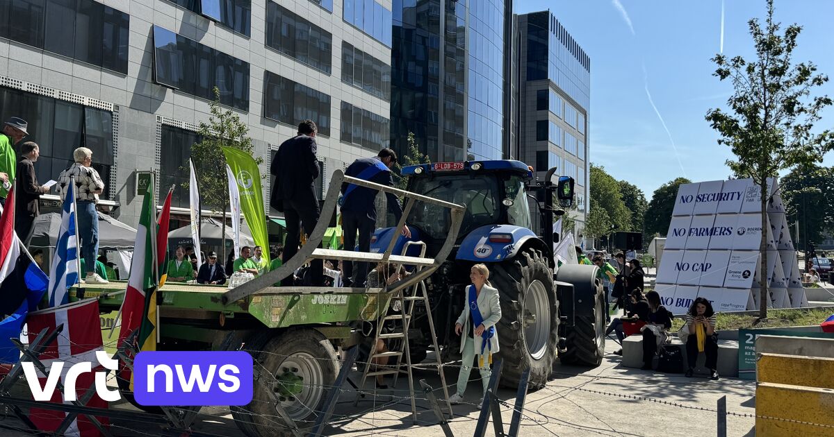 Boeren laten opnieuw van zich horen in Brussel uit vrees voor ...