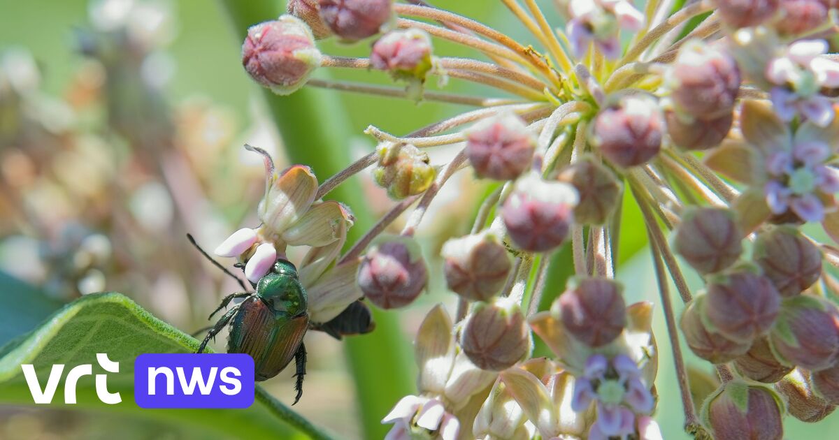 Emma watson pusdy after a light check, I gave the details