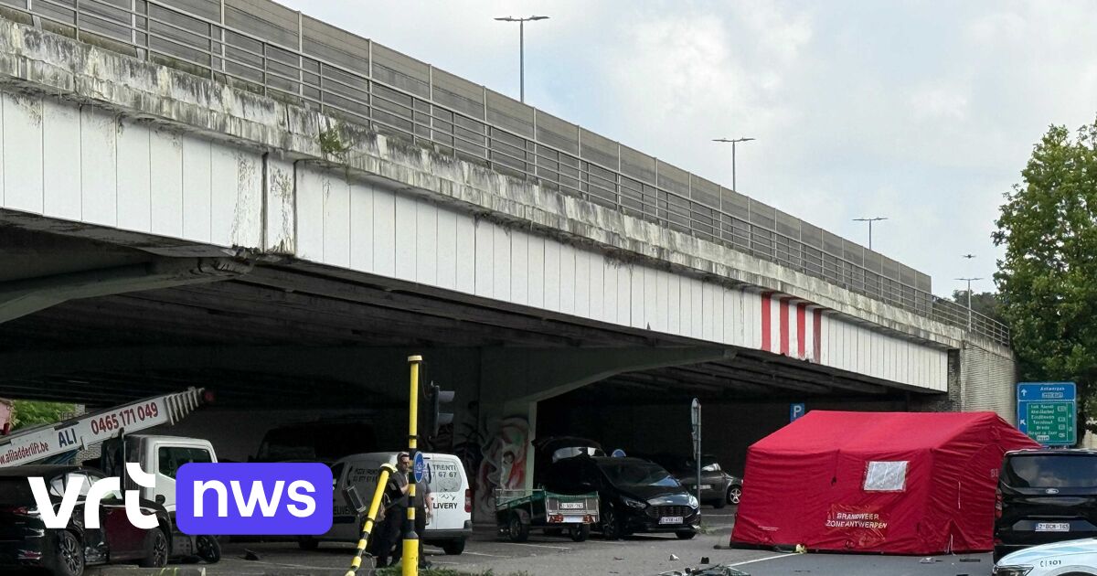 Msodile reddit gazing at her pics I thought she looked