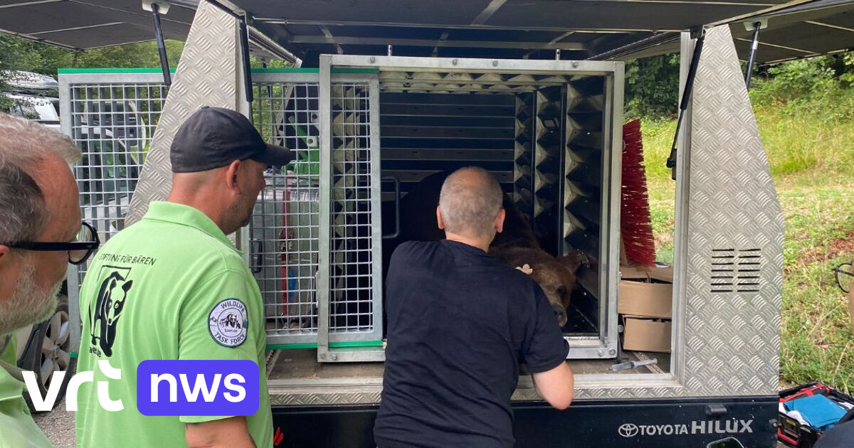 Berin JJ4, die een Italiaanse jogger doodde, vindt een nieuwe thuis in ...