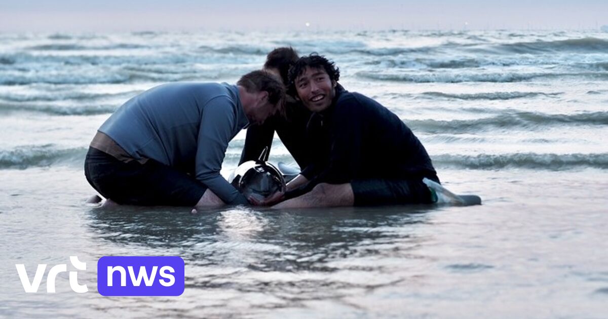 Addison wodka warehouse sandra is an extremely attractive