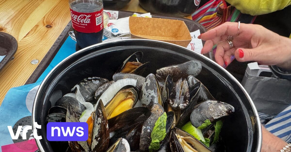 Resto National in de Brusselse Marollenwijk in beeld en cijfers: "3 ton ...