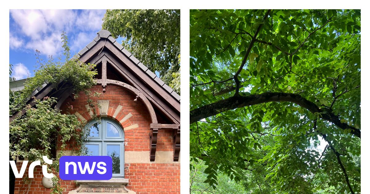 Le parc Tenbosch à Ixelles rejoint la liste des sites classés de la ...