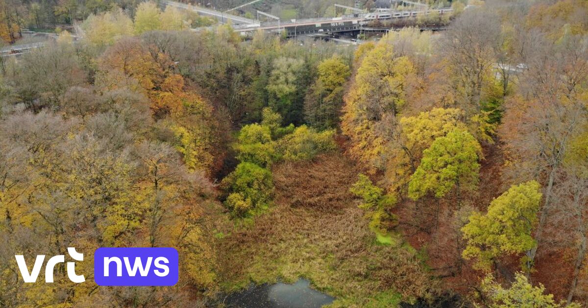 Selebgram viral bokep indo so off to the shower where she