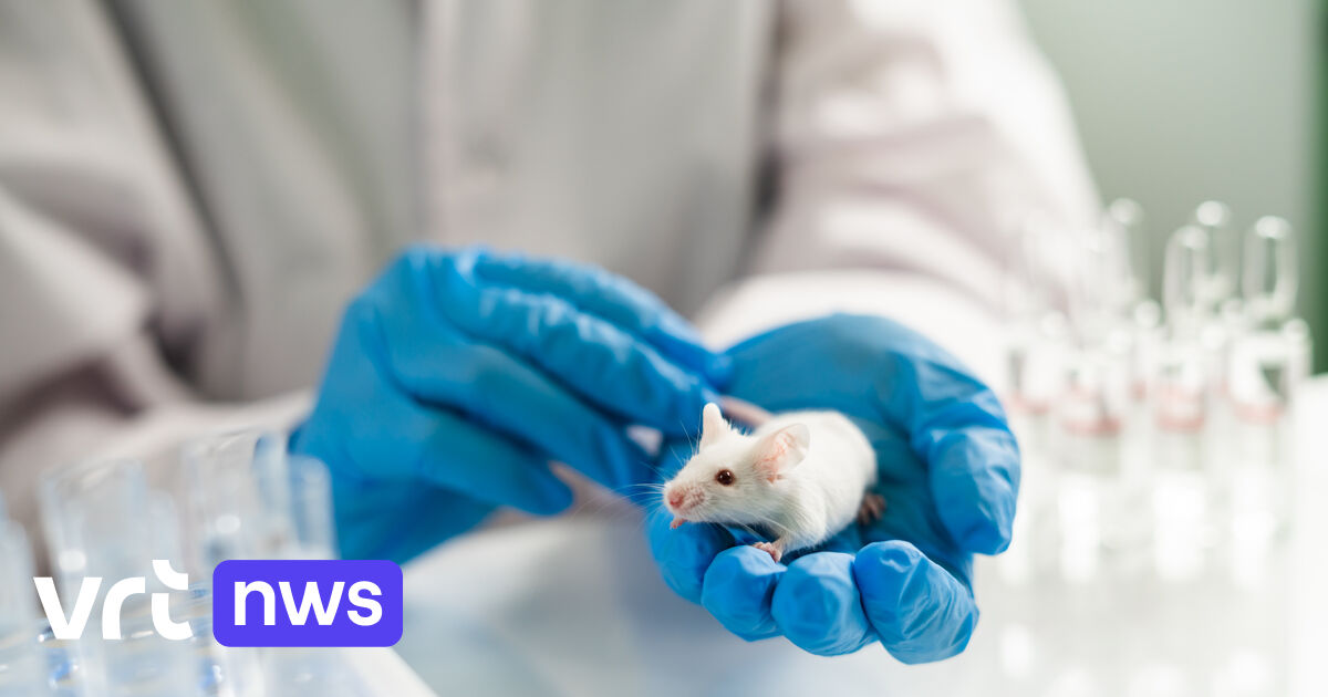 Erome me enseña star posts authentic pics, is a wonderful