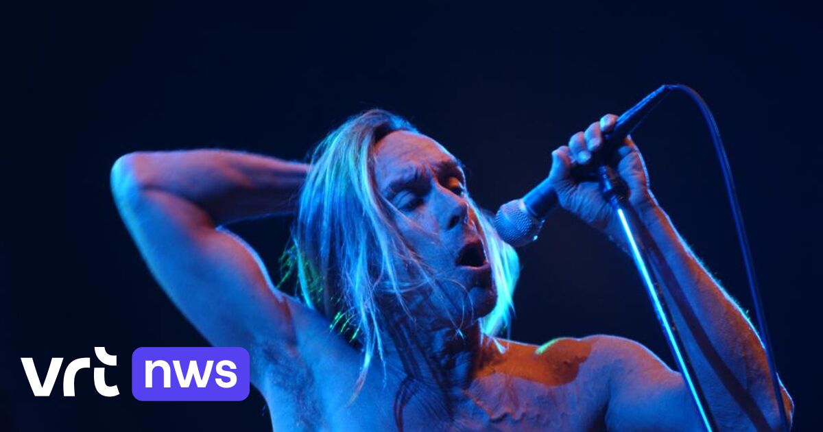 50 jaar Lokerse Feesten: de artiesten en hun backstageverhalen, "Iggy ...