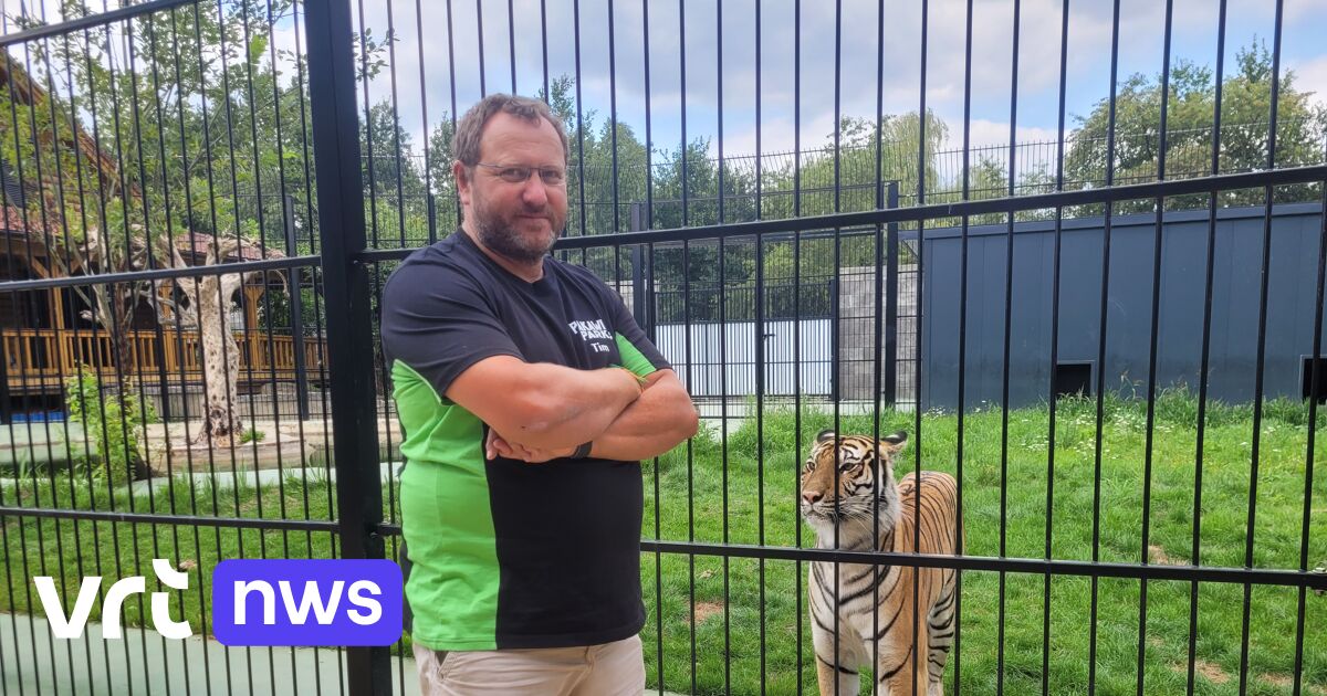 Voormalig hoofddierenarts van Pairi Daiza Tim Bouts gaat aan de slag in ...