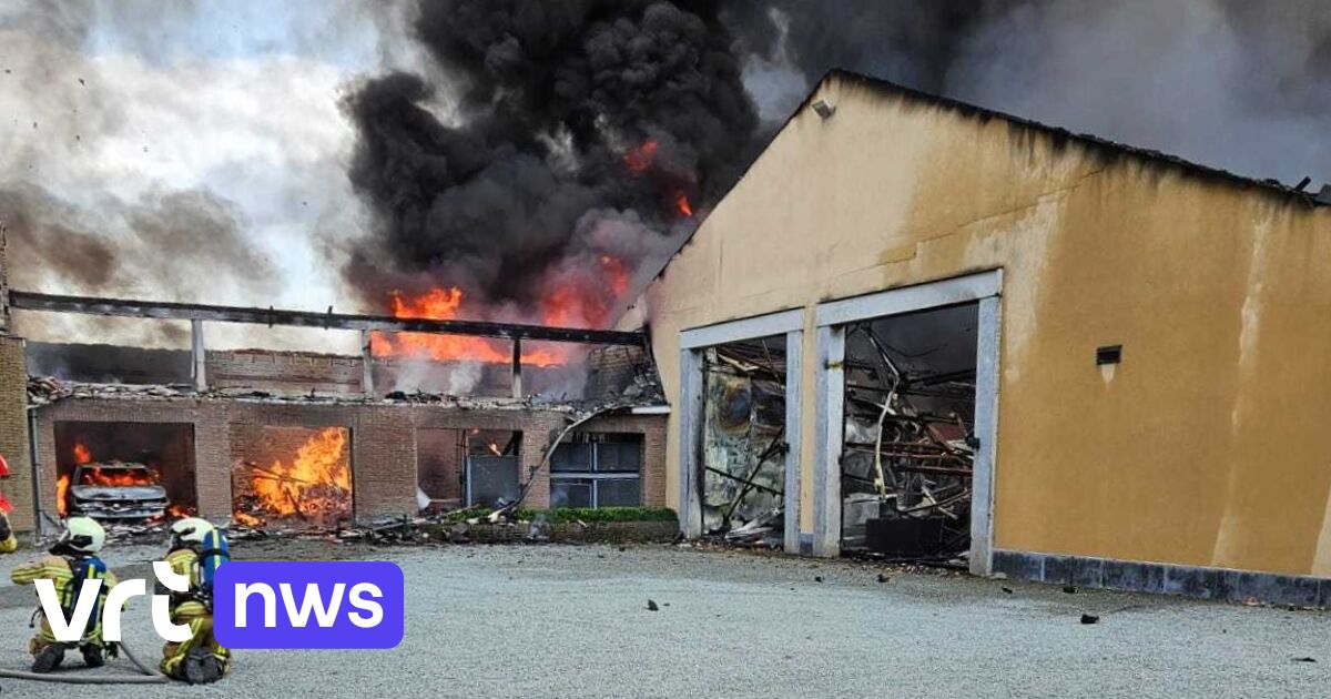 Vleesbedrijf van Norbert (79) ging in vlammen op bij brand in Melle ...