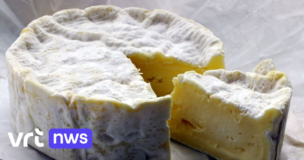 Colruyt recalls cheese, Carrefour recalls fish amid fears of listeria ...