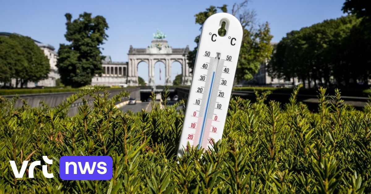 Tweede hittegolf van het jaar is officieel een feit, maar wat zegt de ...