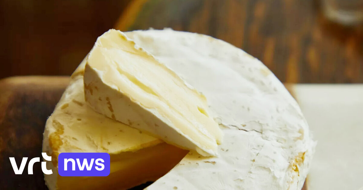 Eerste besmetting met listeria-bacterie in België, na uitbraak door ...