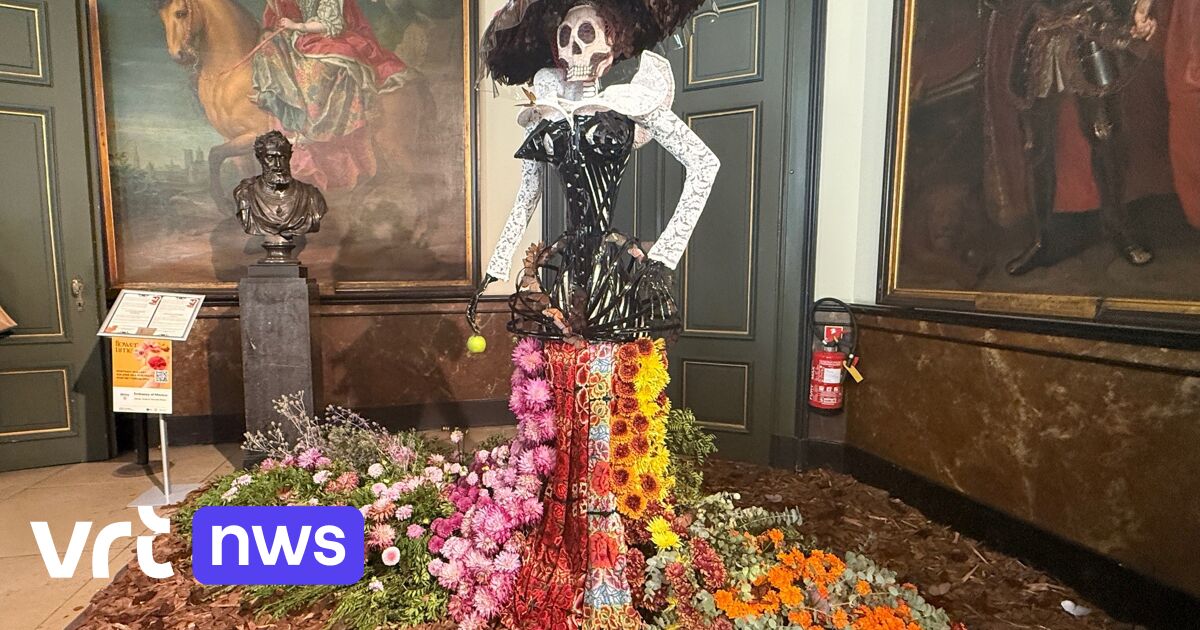 15,000 people visit Flowertime in Brussels city hall | VRT NWS: news