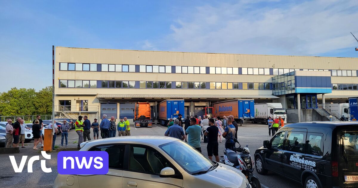 Personeel krijgt meer uitleg over faillissement Group De Wolf in Turnhout: ruim 80 jobs op de ...