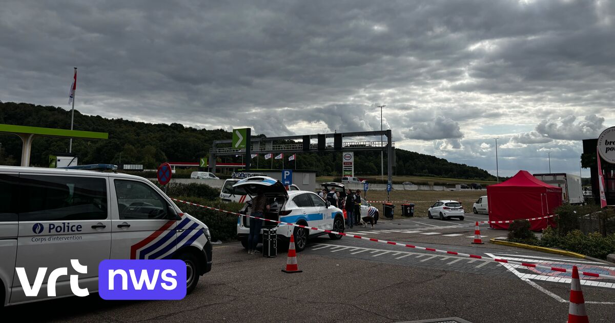 Man overleden bij ongeval met vrachtwagen op snelwegparking E314 in Rotselaar | VRT NWS: nieuws