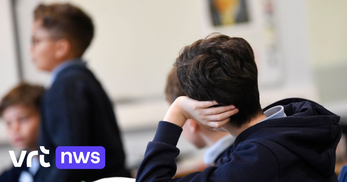 Extra support for non-native Dutch-speaking pupils and GSM ban | VRT ...