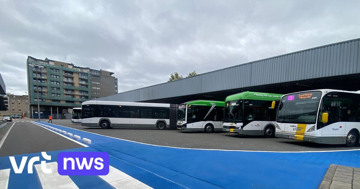 Werken aan station Genk bijna klaar: "Blauwe voetgangerszone moet het veiliger maken" | VRT NWS ...