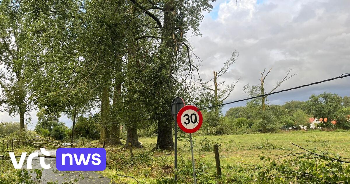 Storm in Pajottenland: windhoos raast door Pajottegem, stroomonderbreking en kapotte daken in ...