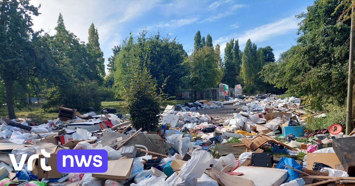 Groot sluikstort ontdekt op domein van Agentschap Wegen en Verkeer in ...