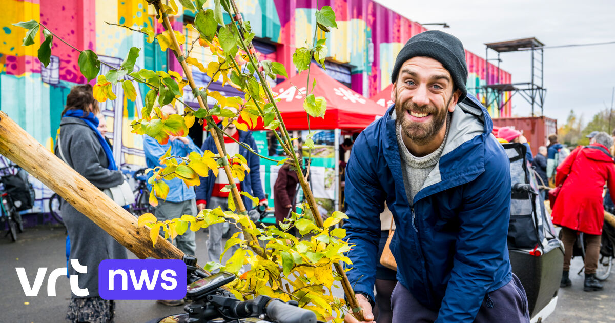 Antwerpen deelt 2.000 extra bomen uit: "Na bomenkap is weer gebleken ...