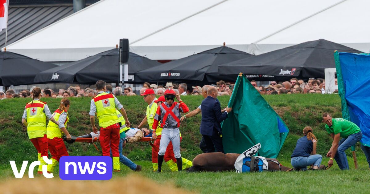 Minister voor dierenwelzijn Weyts vraagt onafhankelijk onderzoek naar ...