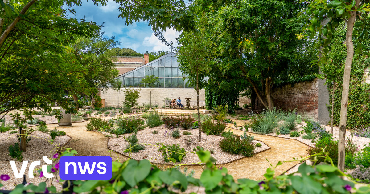 Erome nixie pearl upon arrival to the incall hotel venue, I