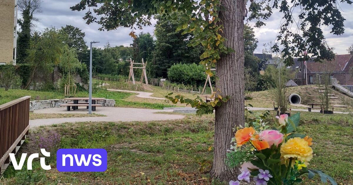 Gavere opent gloednieuw Egmontpark: groene long in het centrum | VRT ...