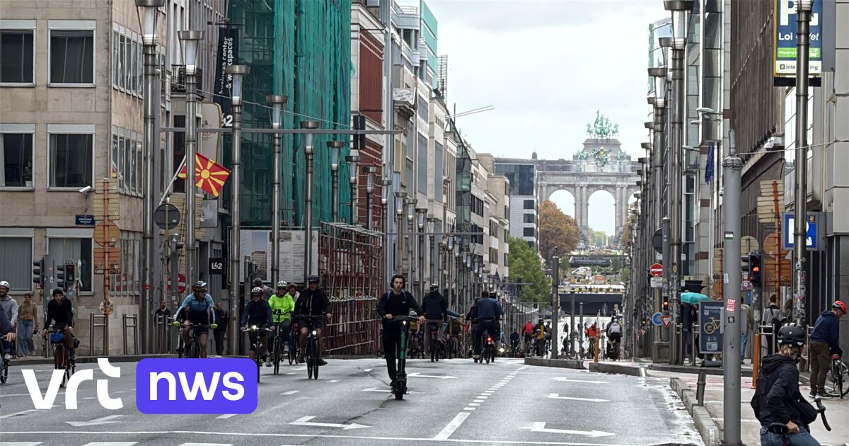 Extra autoloze zondag voor Brussel: critici hekelen (mogelijke) timing ...