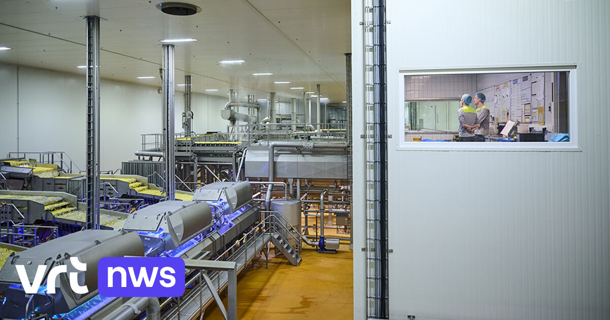 Aardappelverwerkend bedrijf Agristo breidt uit in Wielsbeke met 4e ...