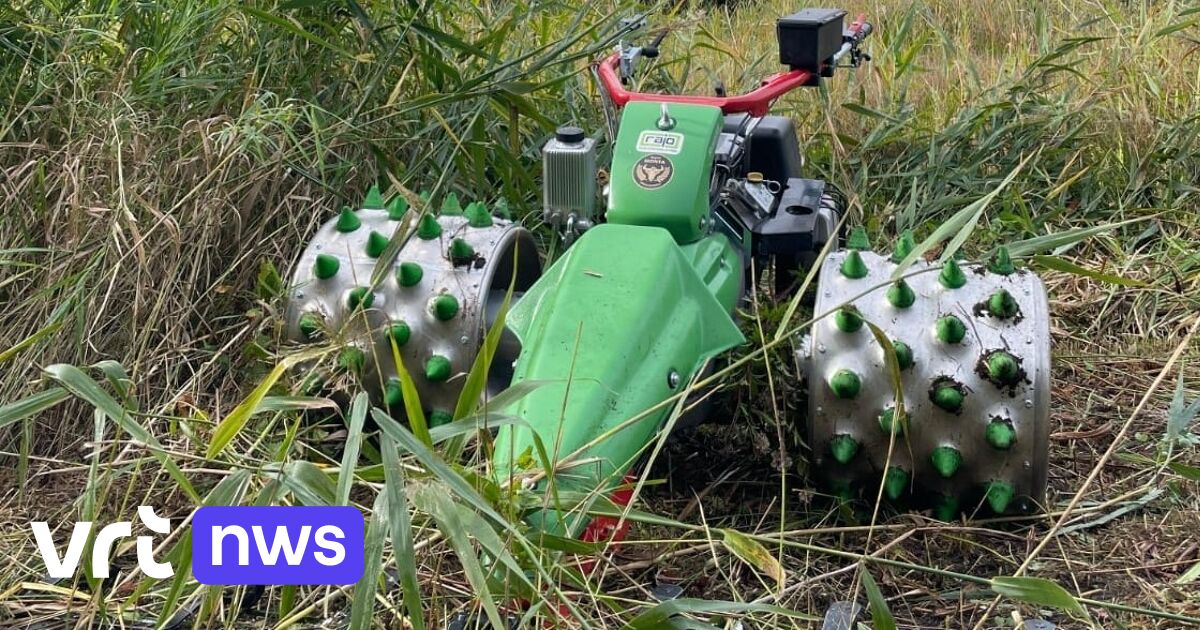Speciale 'moerasmaaier' moet natte bodem in Nationaal Park ...