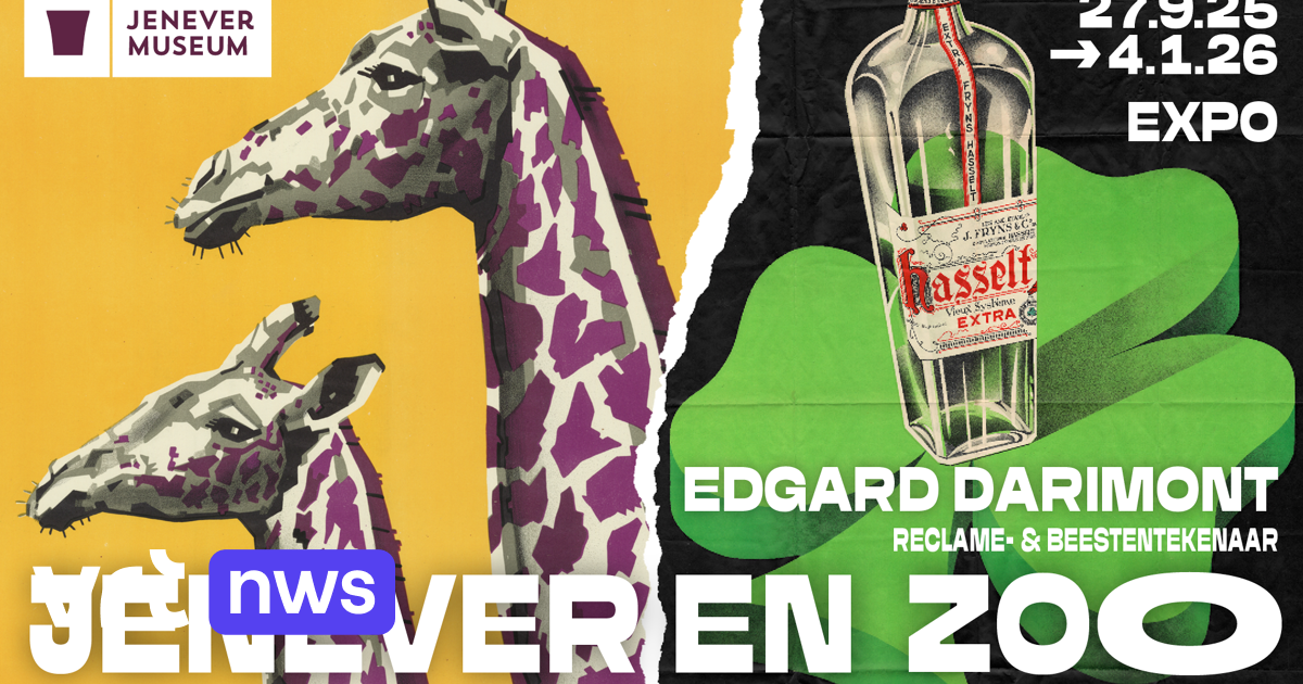 Jenevermuseum opent expo over Hasselaar die iconische affiches ontwierp ...