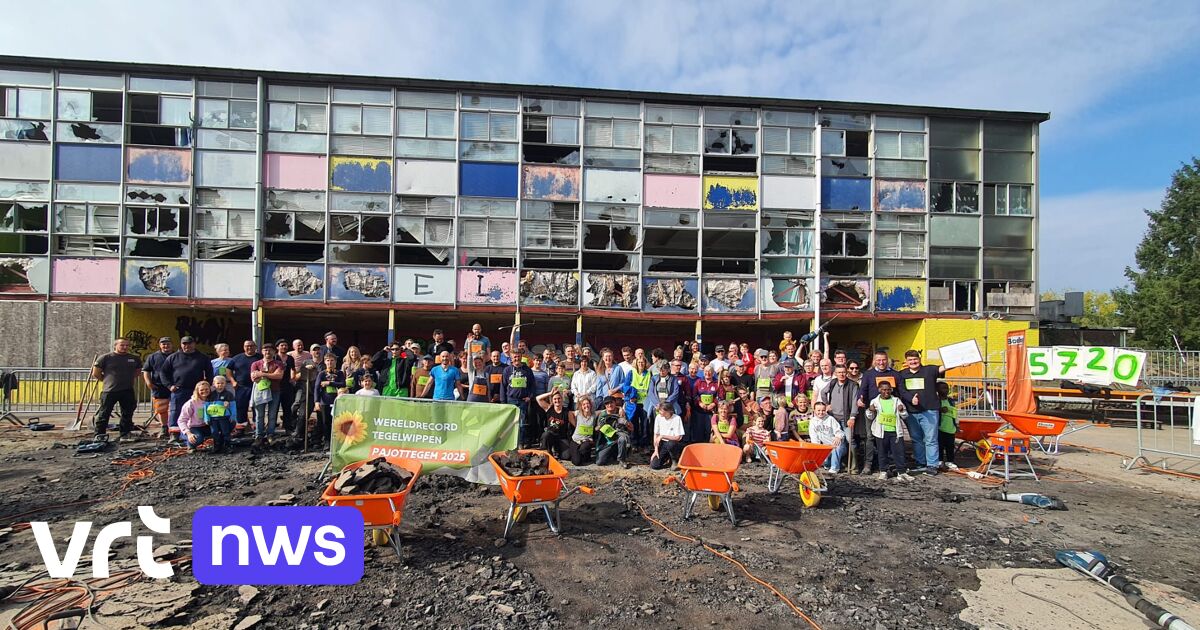 Pajottegem haalt wereldrecord tegelwippen binnen: 112 inwoners ...