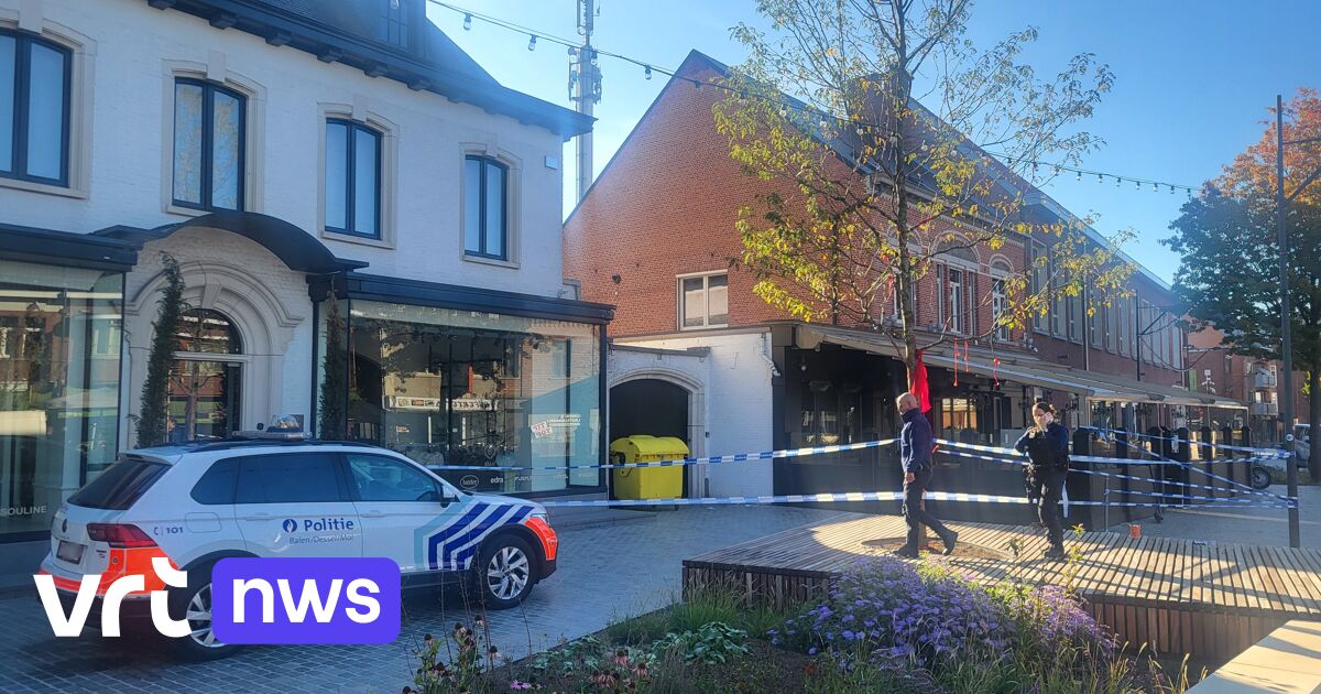 Dode (18) en gewonde (17) bij steekpartij in centrum van Mol, 3 ...
