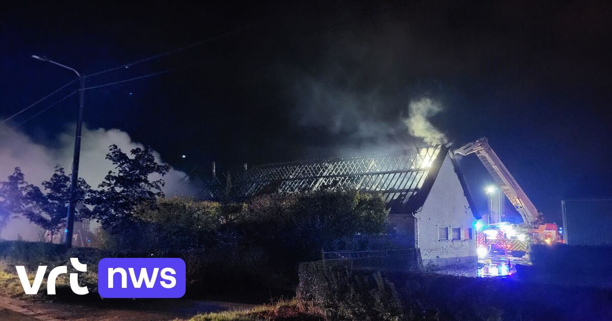 Huis volledig verwoest na zware brand in Oostmalle: mogelijk door opladend stuk speelgoed | VRT ...