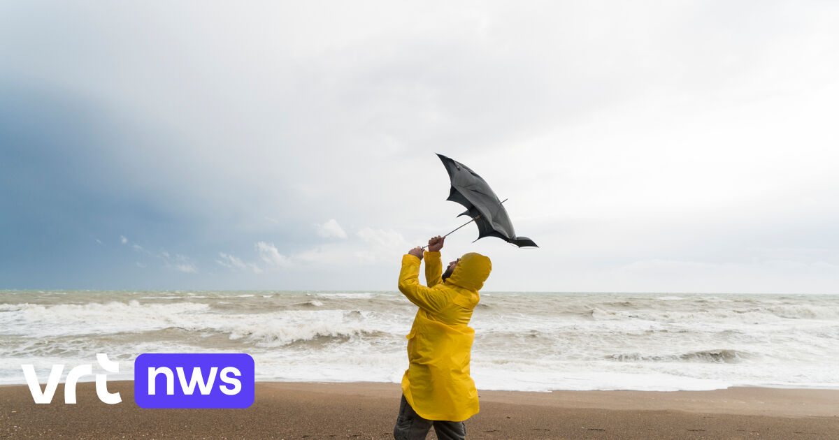 High winds forecast for Thursday, Code Yellow weather warning for the ...