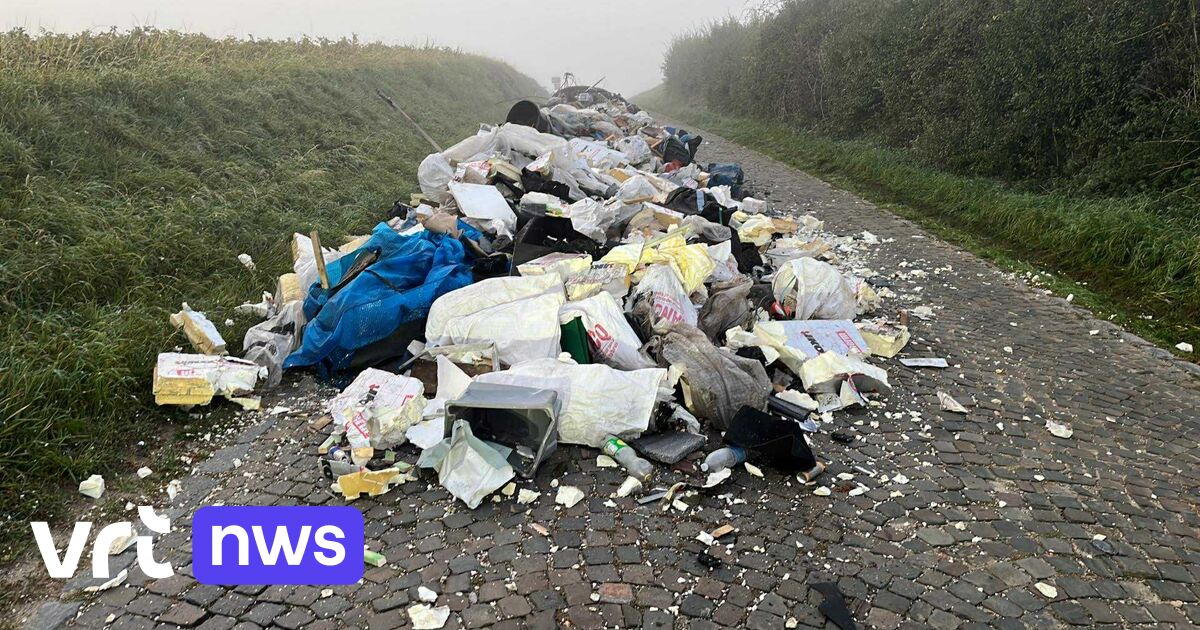 Grote hoop afval gedumpt in Heers: "Het lijkt wel of iemand zijn huis ...