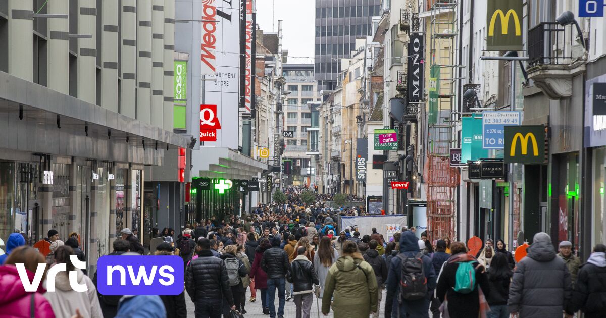 Voor 29e jaar op rij neemt bevolking in Brussels Gewest toe | VRT NWS ...