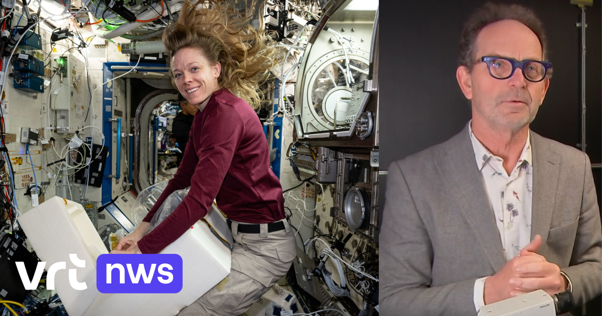 Antwerpse professor gaat samen met NASA hersenen van Amerikaanse ...