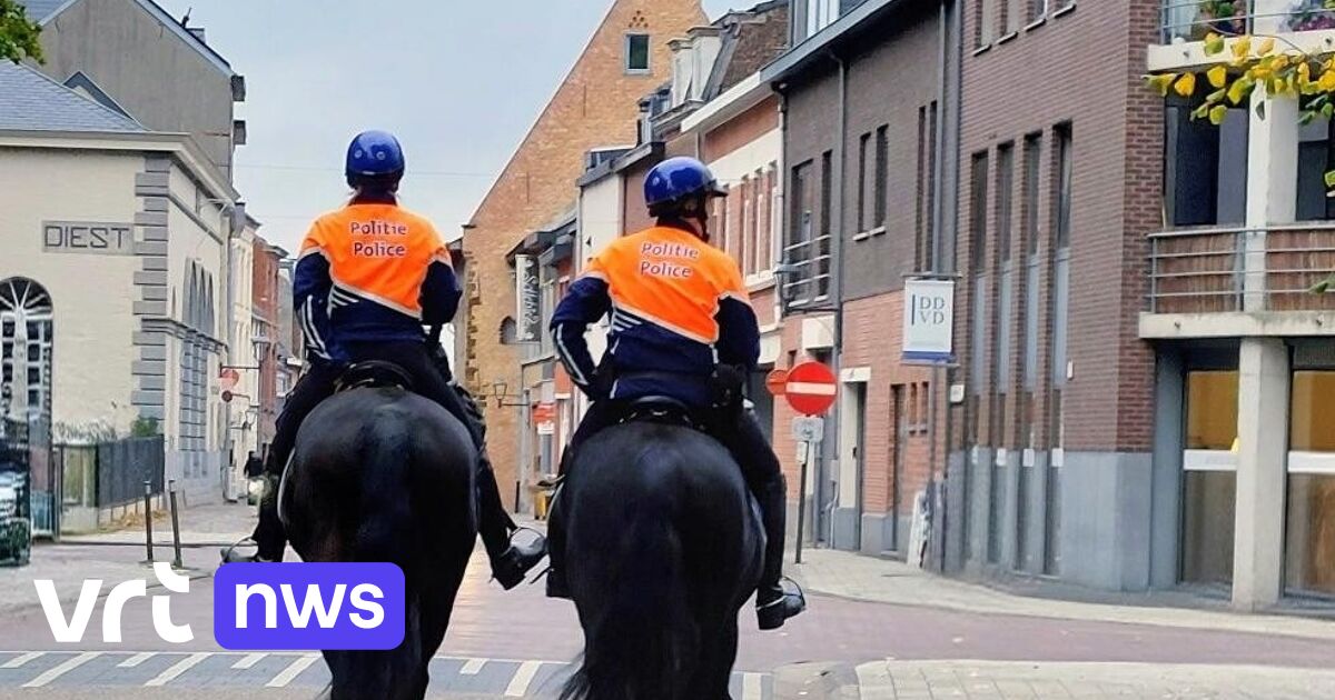 Politie patrouilleert te paard in Diest en Scherpenheuvel-Zichem | VRT ...