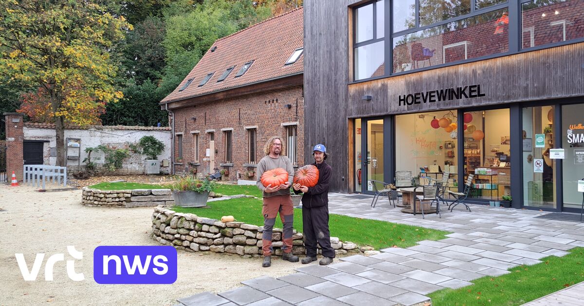 Den Diepen Boomgaard in Grimbergen teelt 400 pompoenen voor Halloween ...