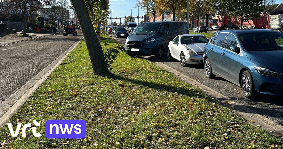 Stad Sint-Truiden zal voortaan foutparkeerders op pechstrook N80 ...