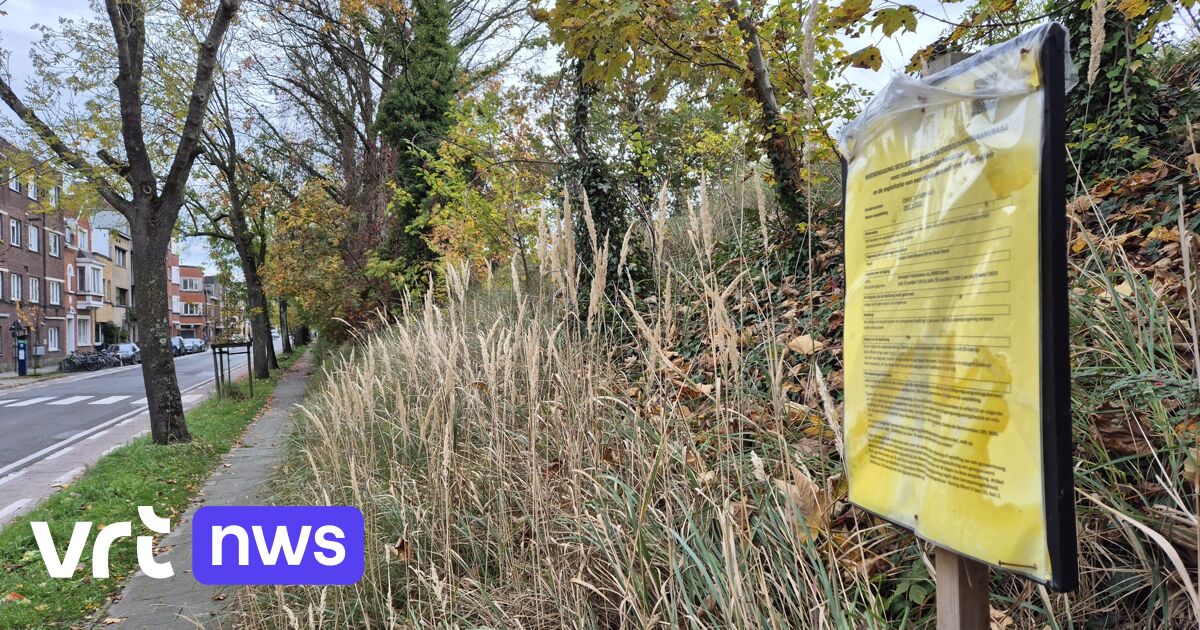 "Actiecomité vertraagt al 15 jaar elk project": buurtbewoners Gent-Sint ...